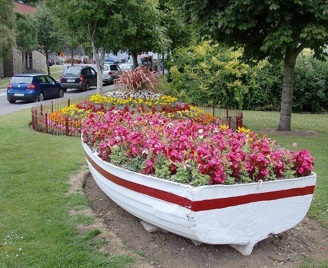 21 Boat Flower Garden Ideas For This Year | SharonSable