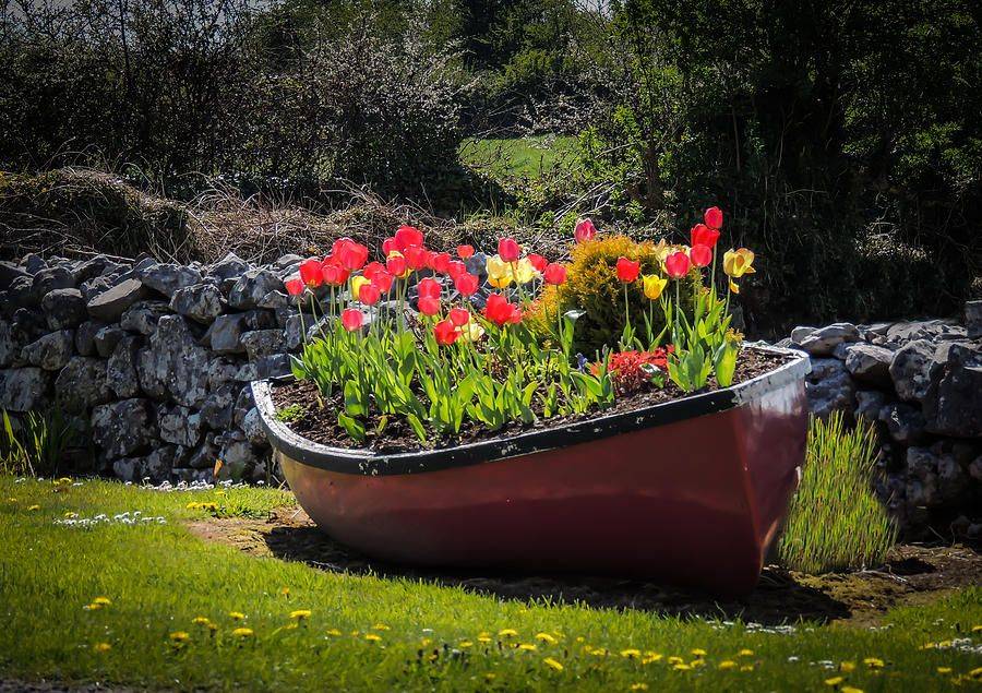 21 Boat Flower Garden Ideas For This Year | SharonSable