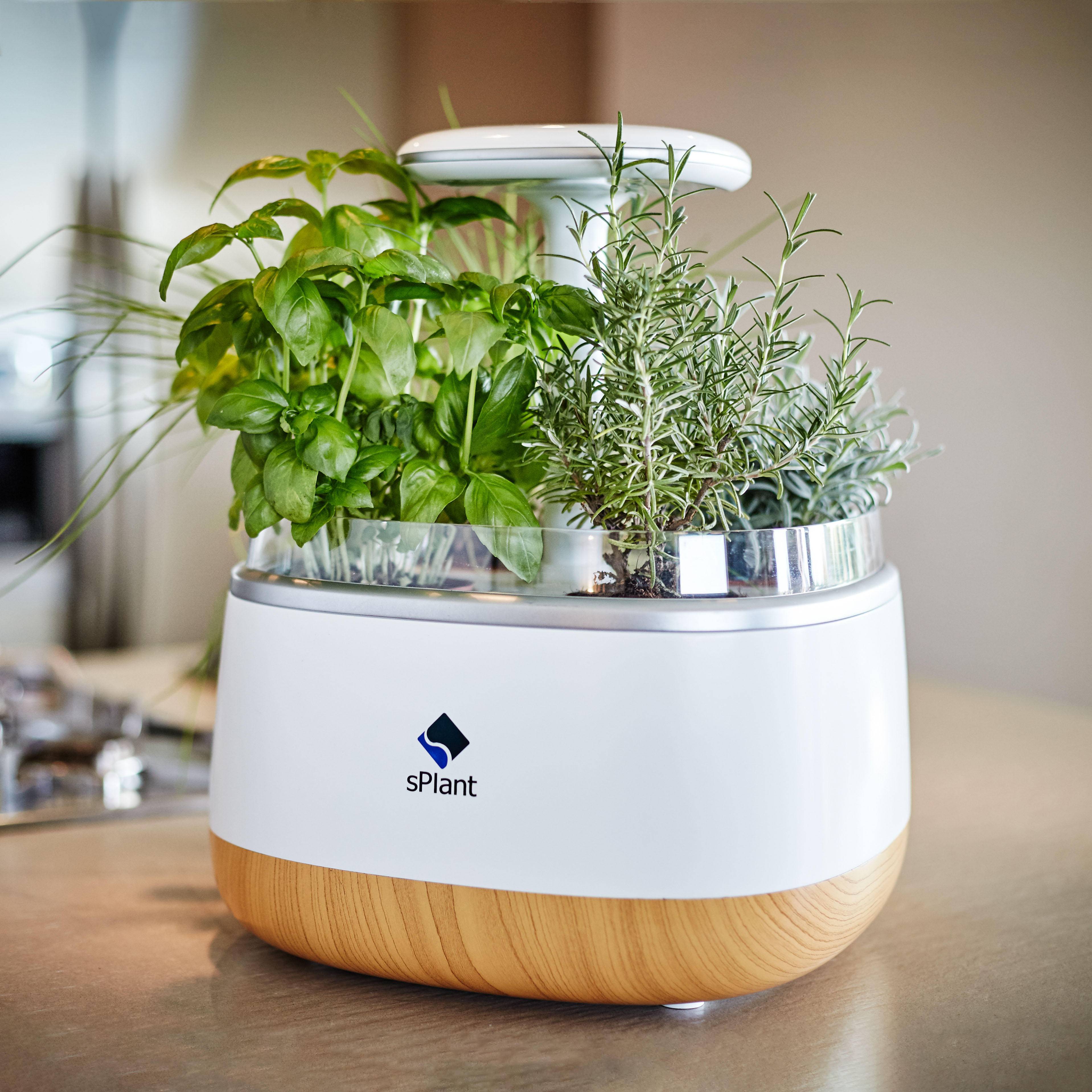 20 Indoor Herb Garden Kits Ideas Worth to Check | SharonSable