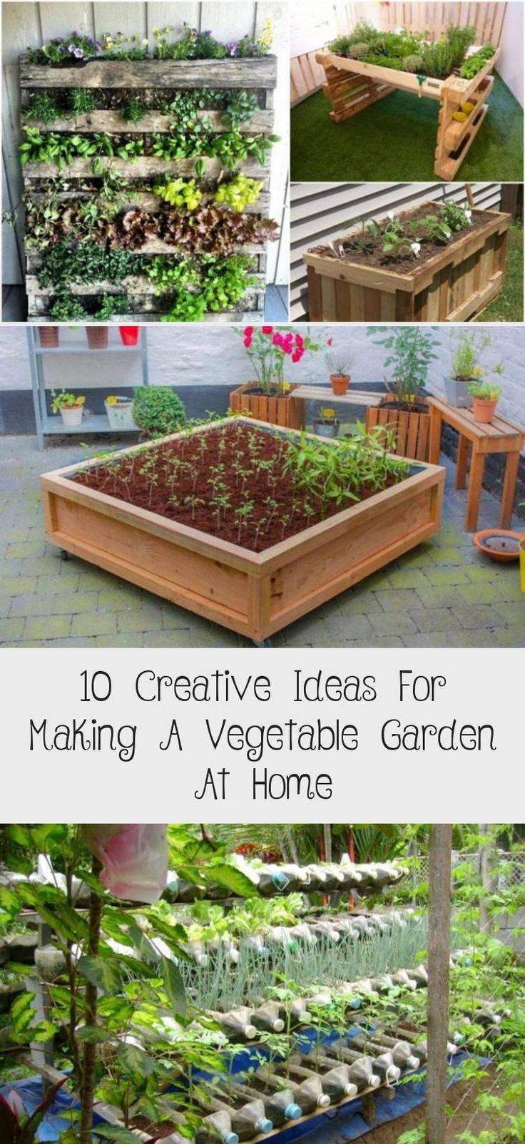 22 Garden Plant Food Ideas You Should Look | SharonSable