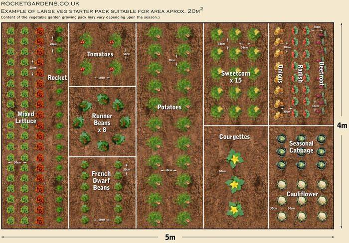27 Typical Large Vegetable Garden Layout Ideas To Try This Year ...
