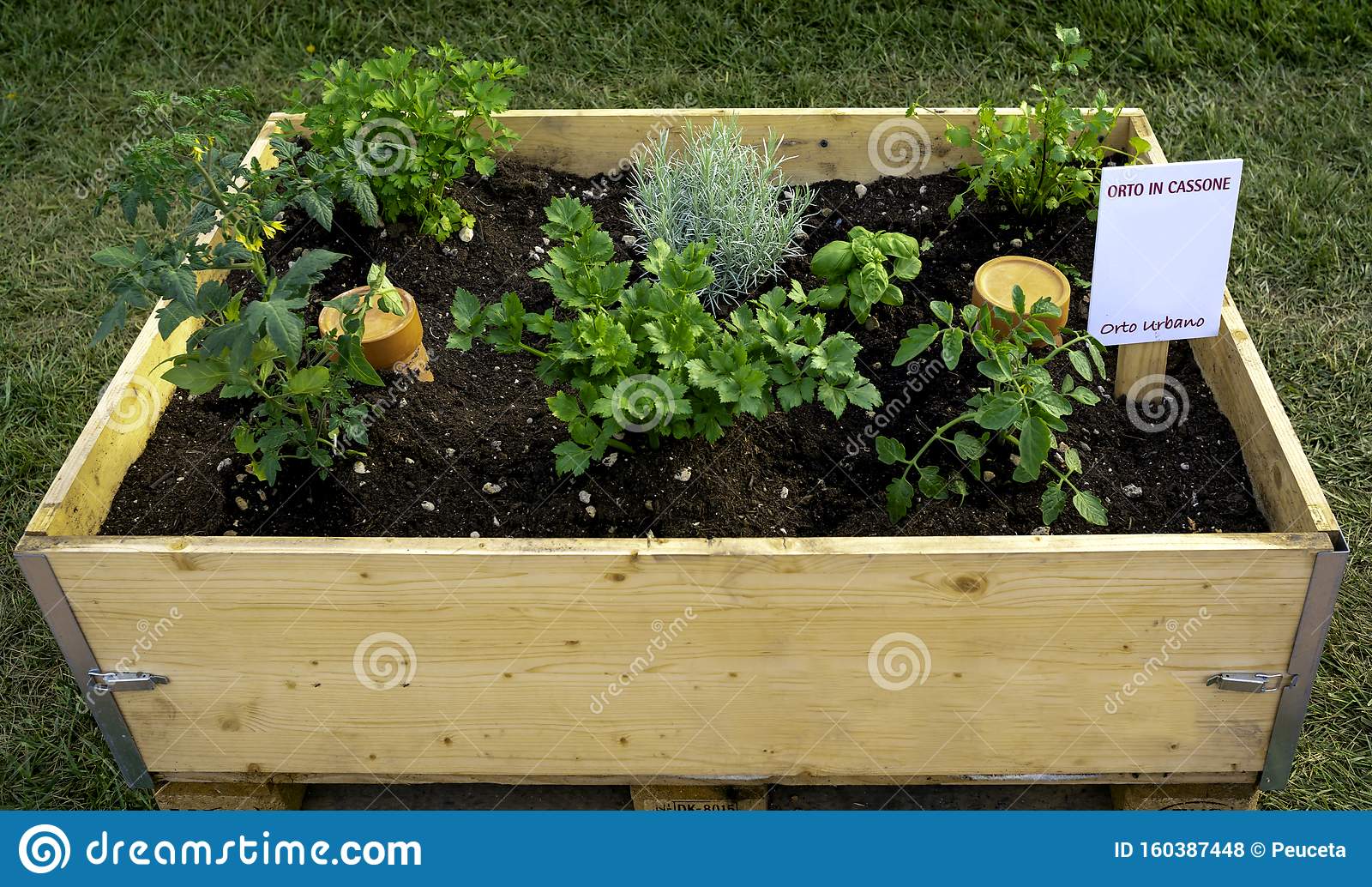 20 10 X 12 Vegetable Garden Layout Ideas Worth to Check | SharonSable