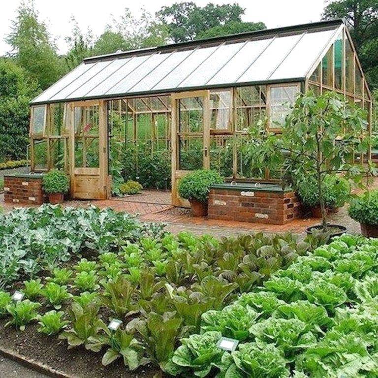 20 Large Vegetable Garden Layout Ideas You Cannot Miss | SharonSable
