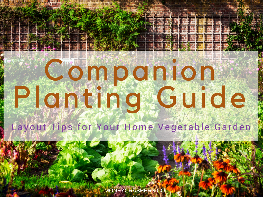 21 Best Companion Vegetable Garden Layout Ideas You Should Check ...