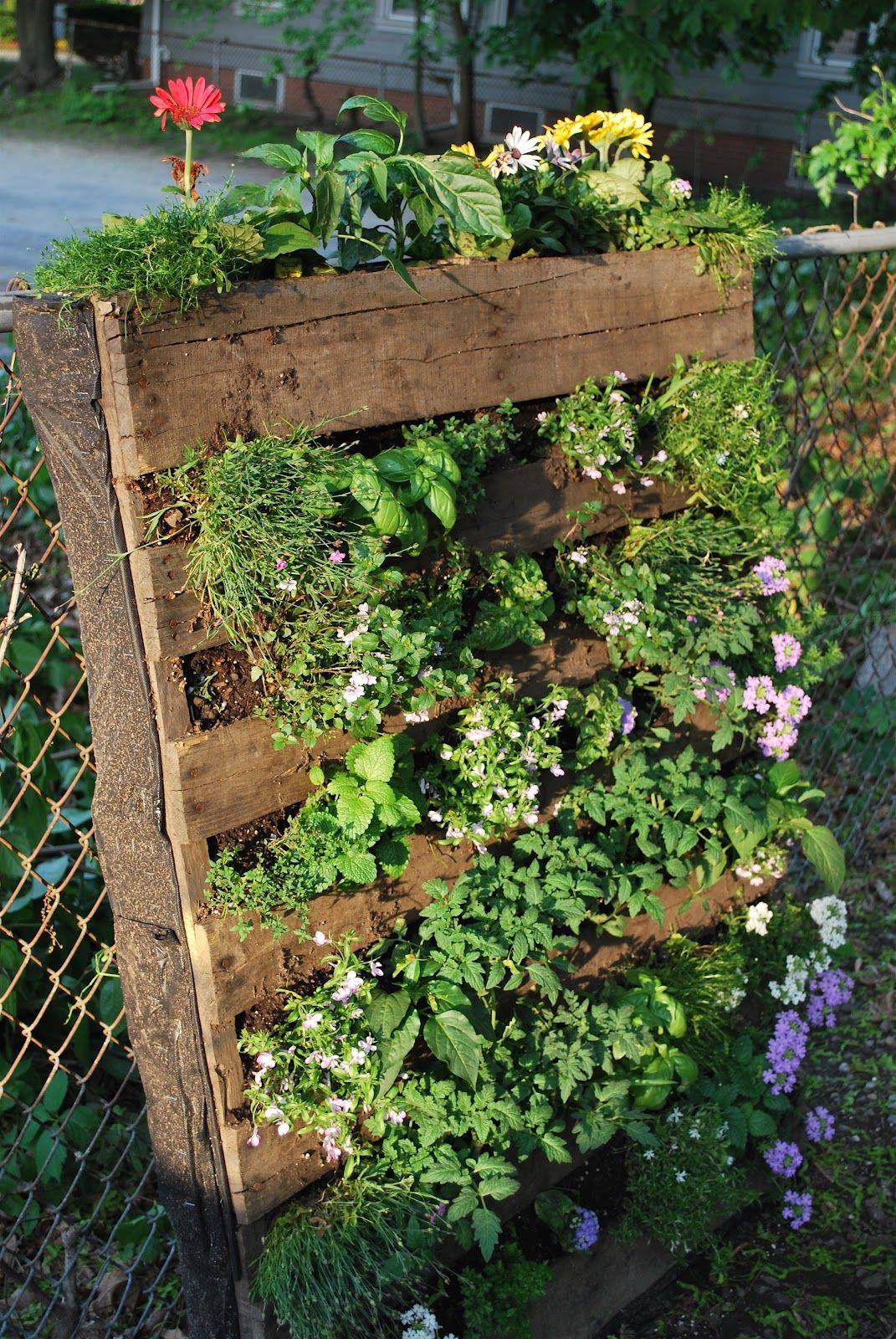 25 Pinterest Gardening Tips Ideas Worth a Look | SharonSable