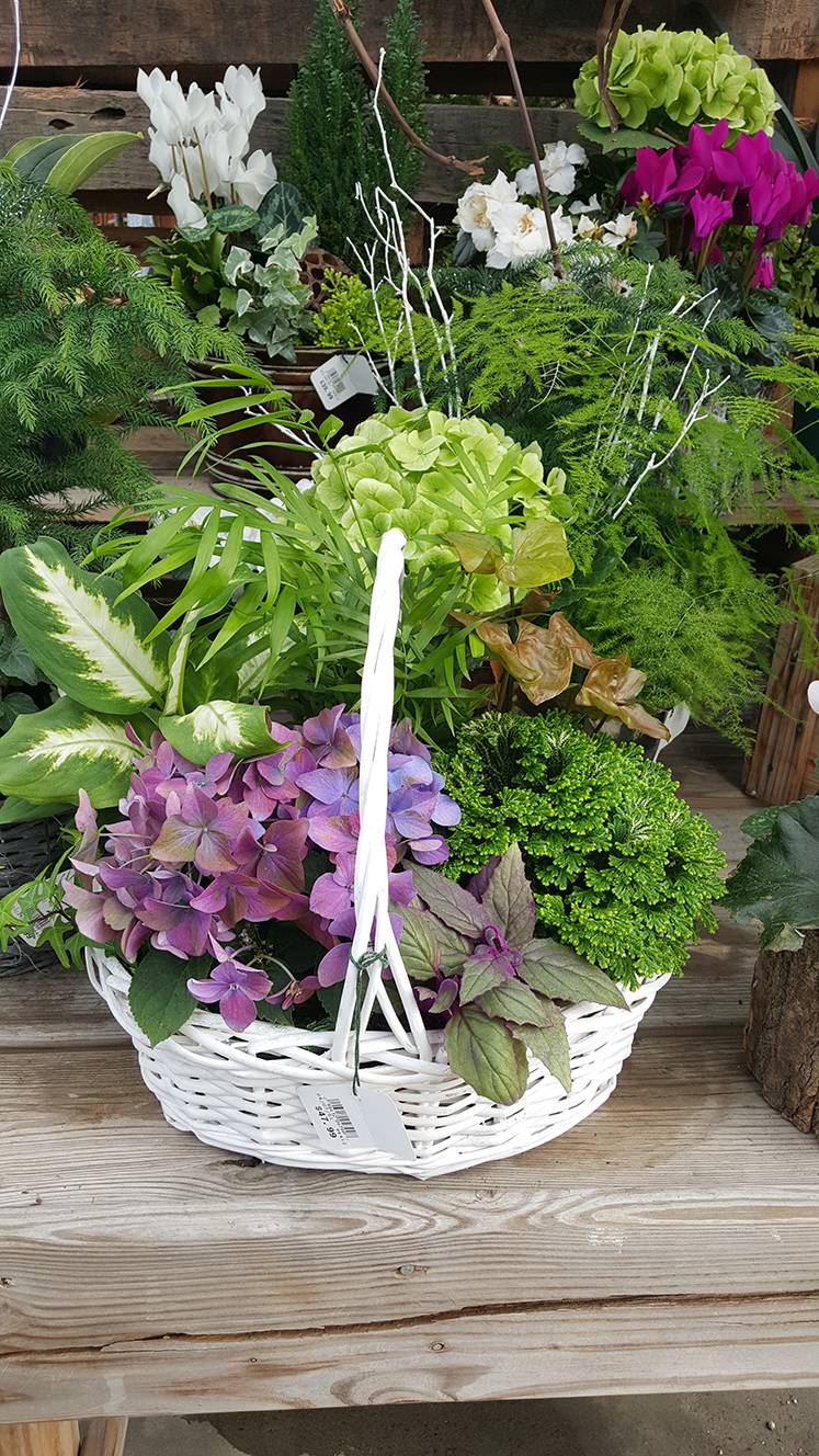 27 Spring Garden Planting Ideas To Consider | SharonSable