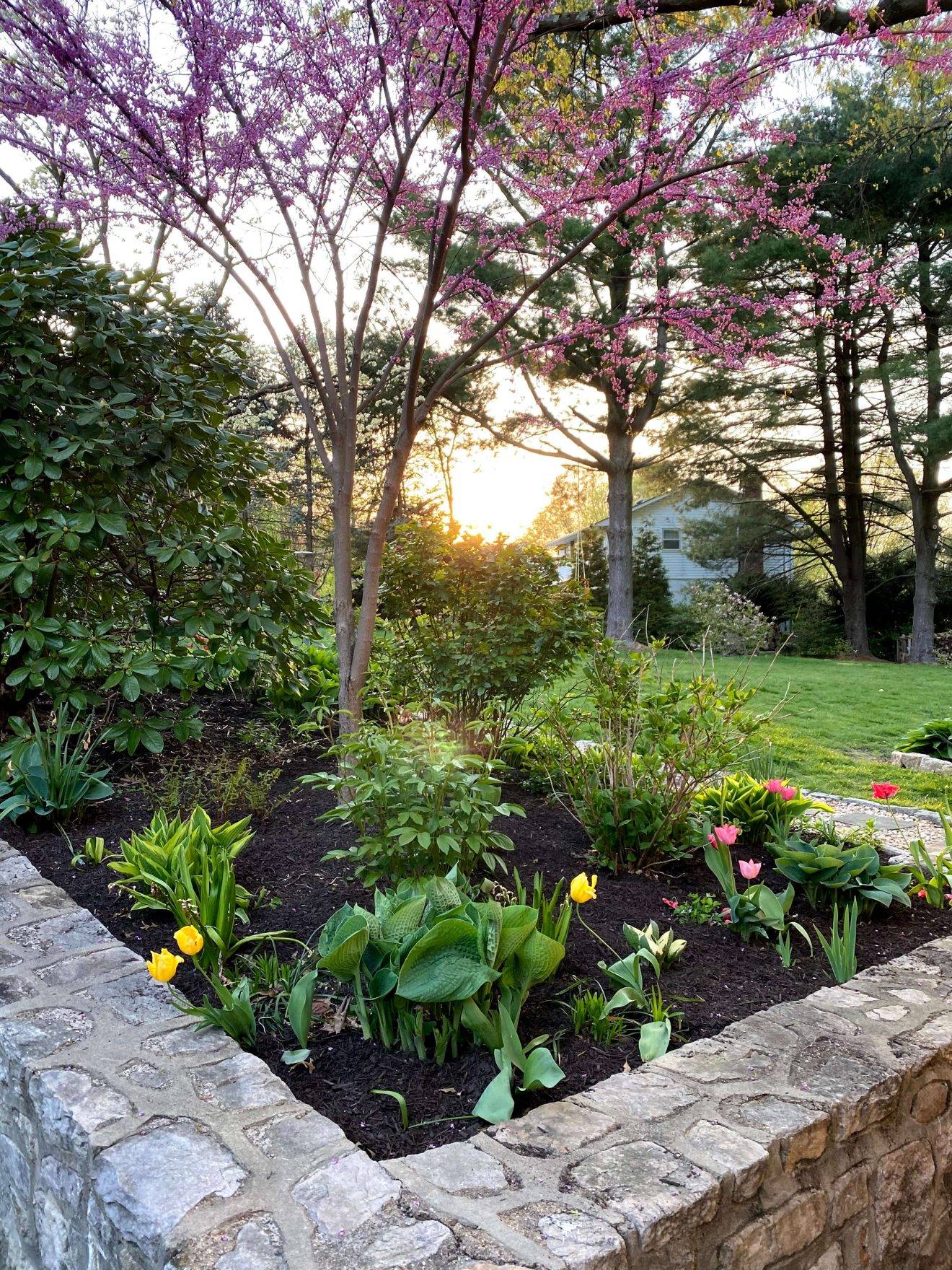 27 Spring Garden Planting Ideas To Consider | SharonSable