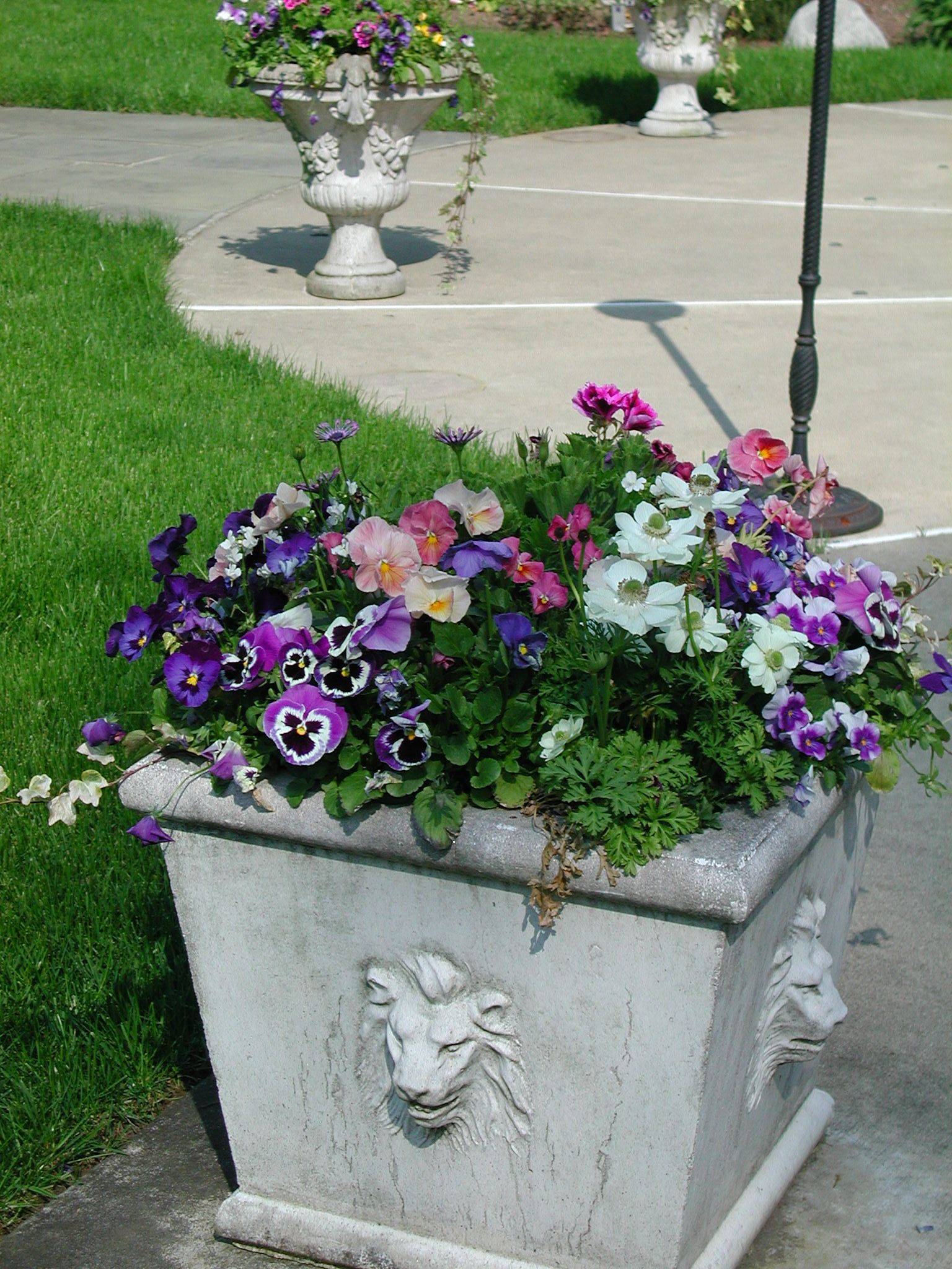 27 Spring Garden Planting Ideas To Consider | SharonSable