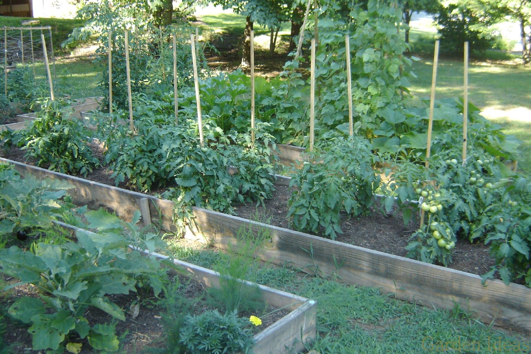 20 Fall Garden Crops Ideas You Cannot Miss | SharonSable