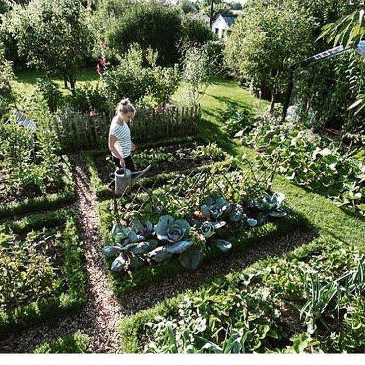 23 Types of Kitchen Garden Ideas To Try This Year | SharonSable