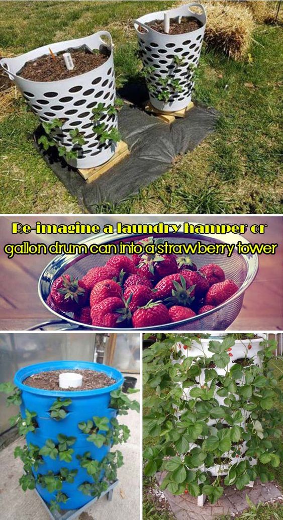 20 DIY Garden Hacks Ideas To Consider | SharonSable