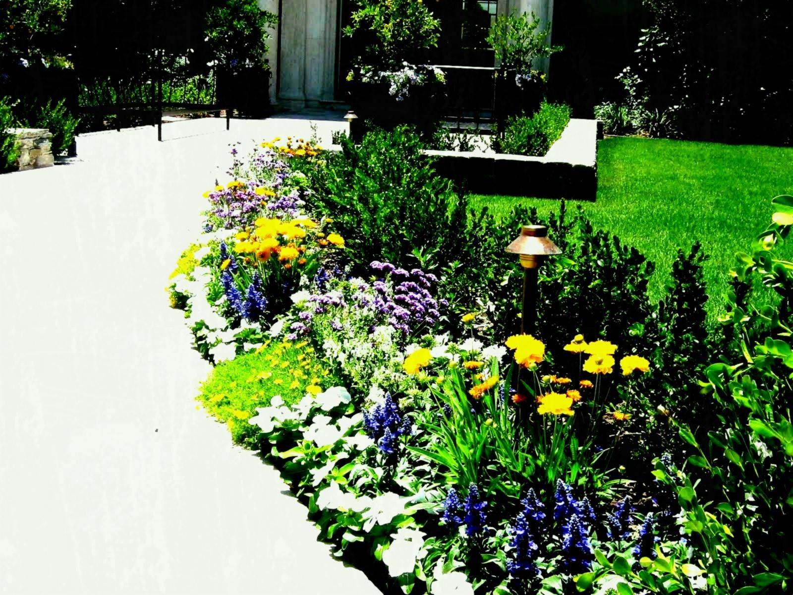 24 Flower Garden Ideas for Beginners Worth a Look | SharonSable