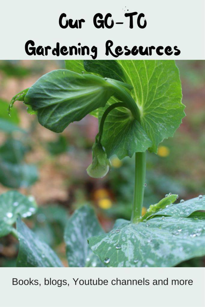 18 Gardening For Dummies Ideas To Try This Year | SharonSable