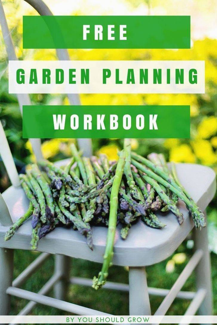 18 Gardening For Dummies Ideas To Try This Year | SharonSable