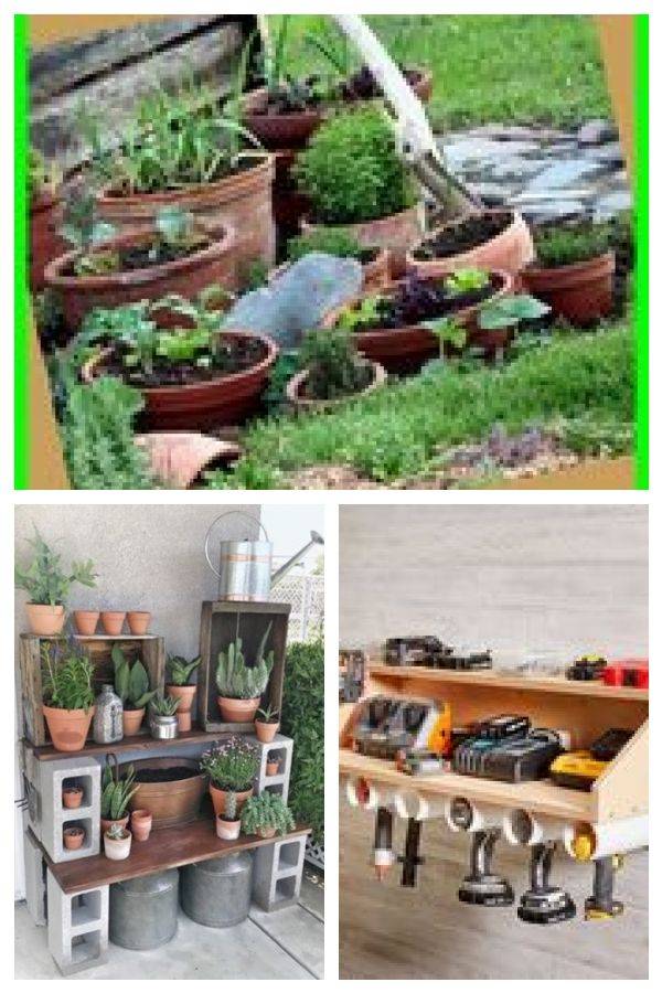 18 Gardening For Dummies Ideas To Try This Year | SharonSable