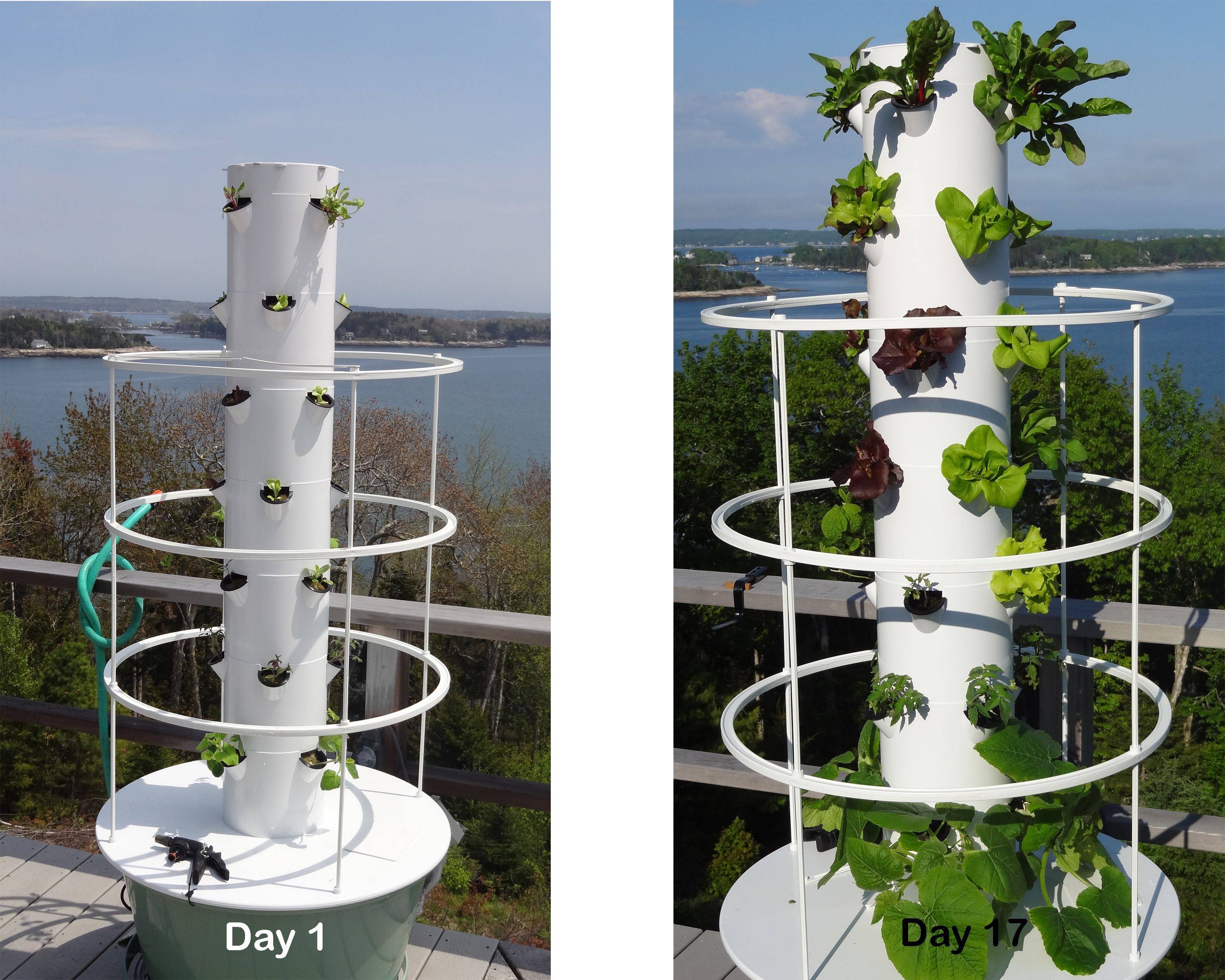 22 Aeroponic Vertical Tower Garden Ideas You Should Check | SharonSable