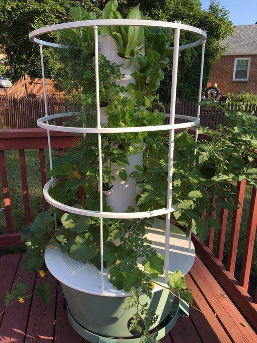 22 Aeroponic Vertical Tower Garden Ideas You Should Check | SharonSable