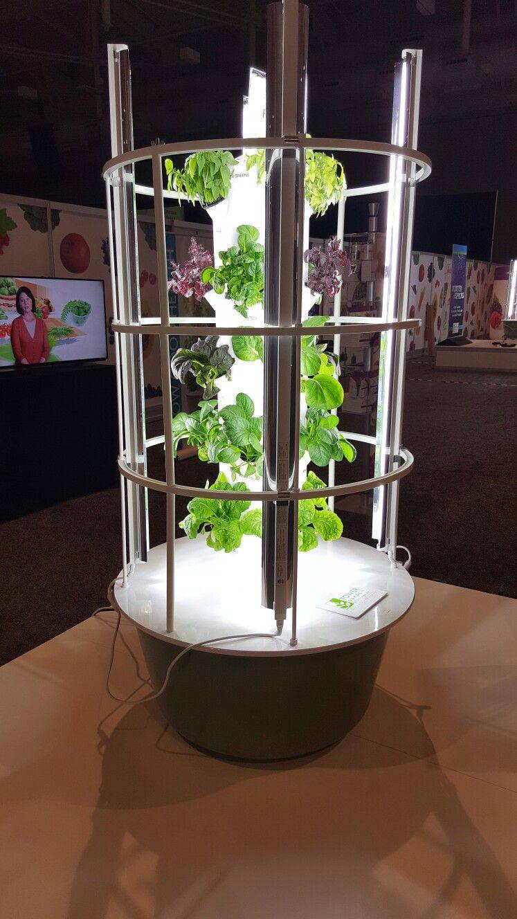 21 Indoor Tower Garden Ideas Worth a Look | SharonSable