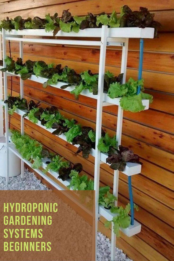 25 Hydroponic Gardening Systems Beginners Ideas To Consider | SharonSable