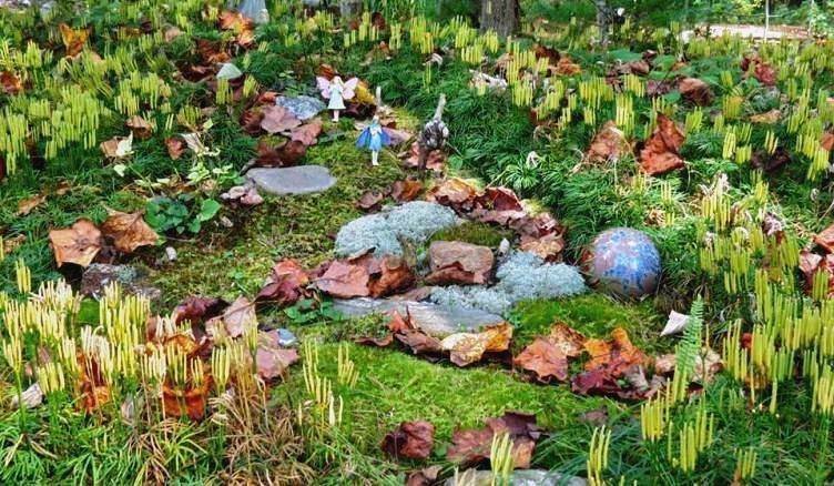 17 Enchanted Forest Garden Ideas Worth a Look | SharonSable