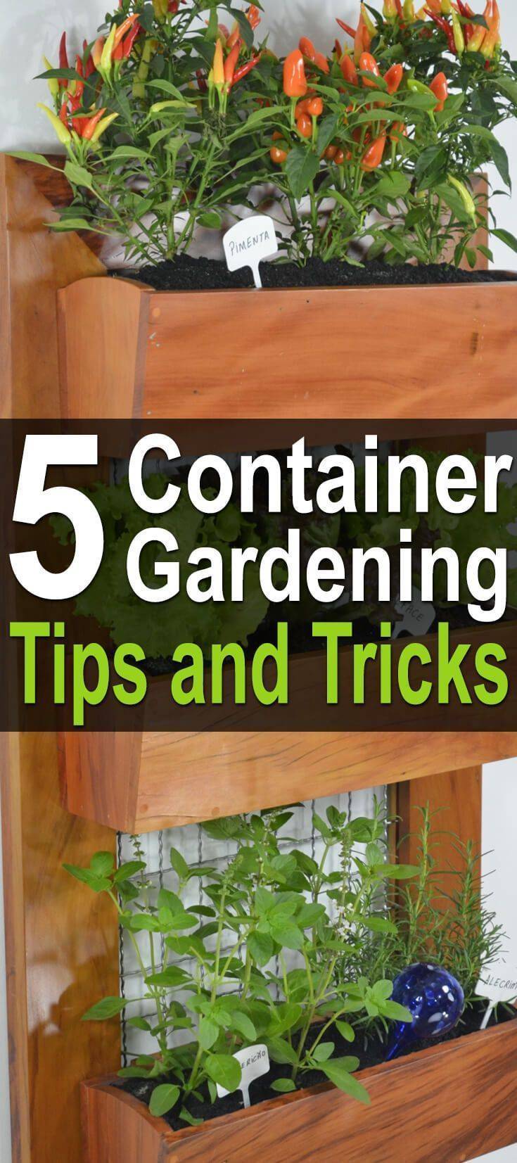16 Vegetable Garden Tips and Tricks Ideas You Should Check | SharonSable