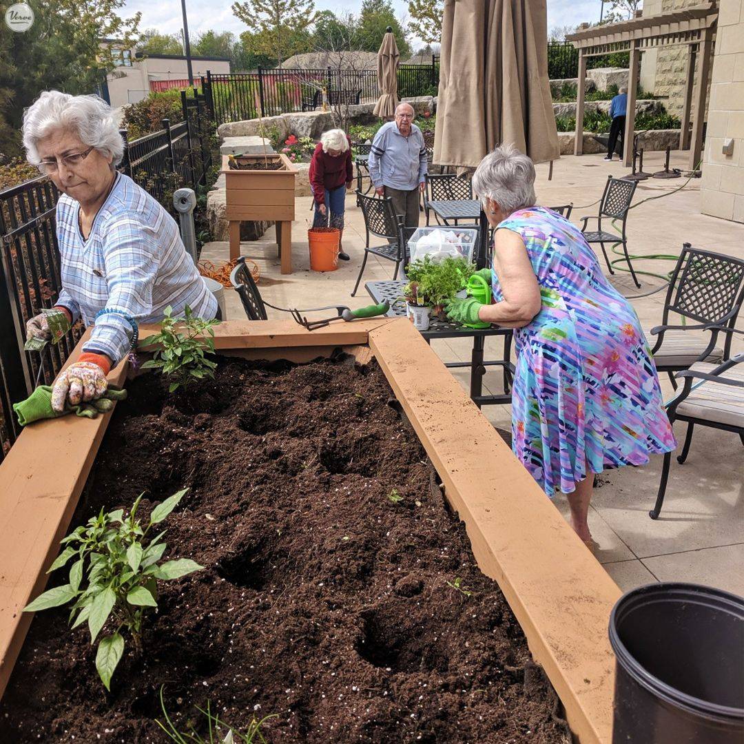 19 Gardening Club Ideas You Should Check | SharonSable