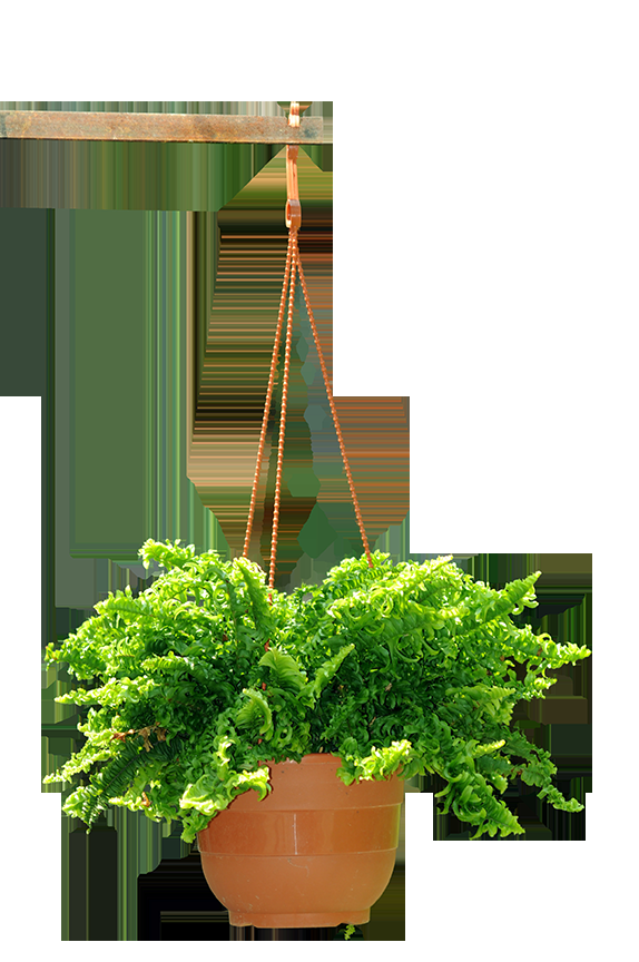 18 Gardening PNG Ideas You Must Look | SharonSable