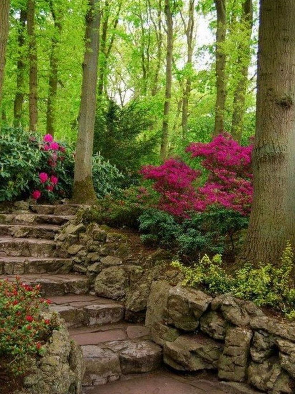 12 Spring Garden Wallpaper Ideas To Consider | SharonSable