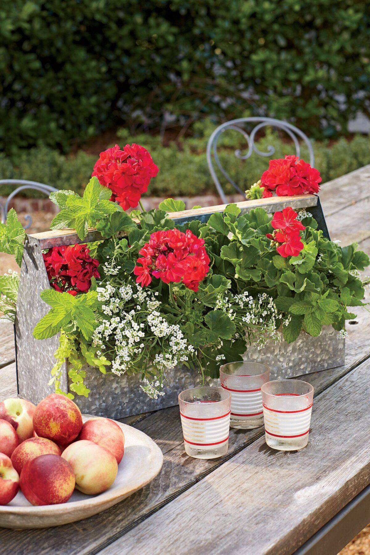 23 Rustic Container Gardening Ideas Worth a Look | SharonSable