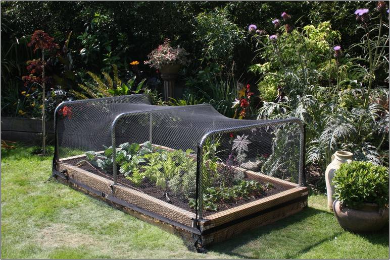 20 Protecting Your Vegetable Garden Ideas You Must Look | SharonSable