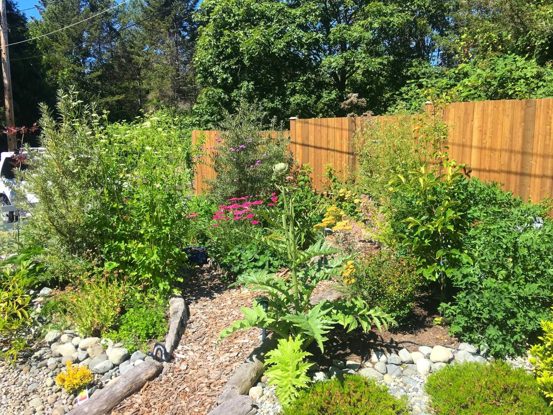 22 Food Forest Gardening Ideas You Must Look | SharonSable