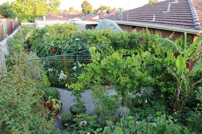 22 Food Forest Gardening Ideas You Must Look | SharonSable