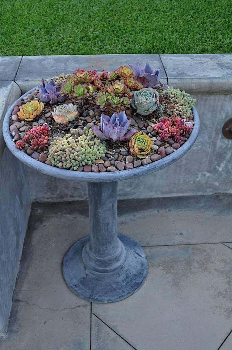 23 Rock Garden Planters Ideas You Cannot Miss | SharonSable