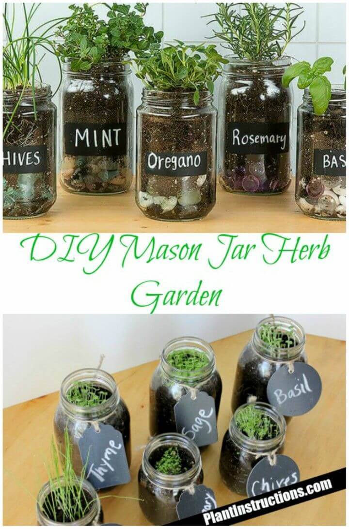 22 Mason Jar Indoor Herb Garden Ideas You Cannot Miss | SharonSable