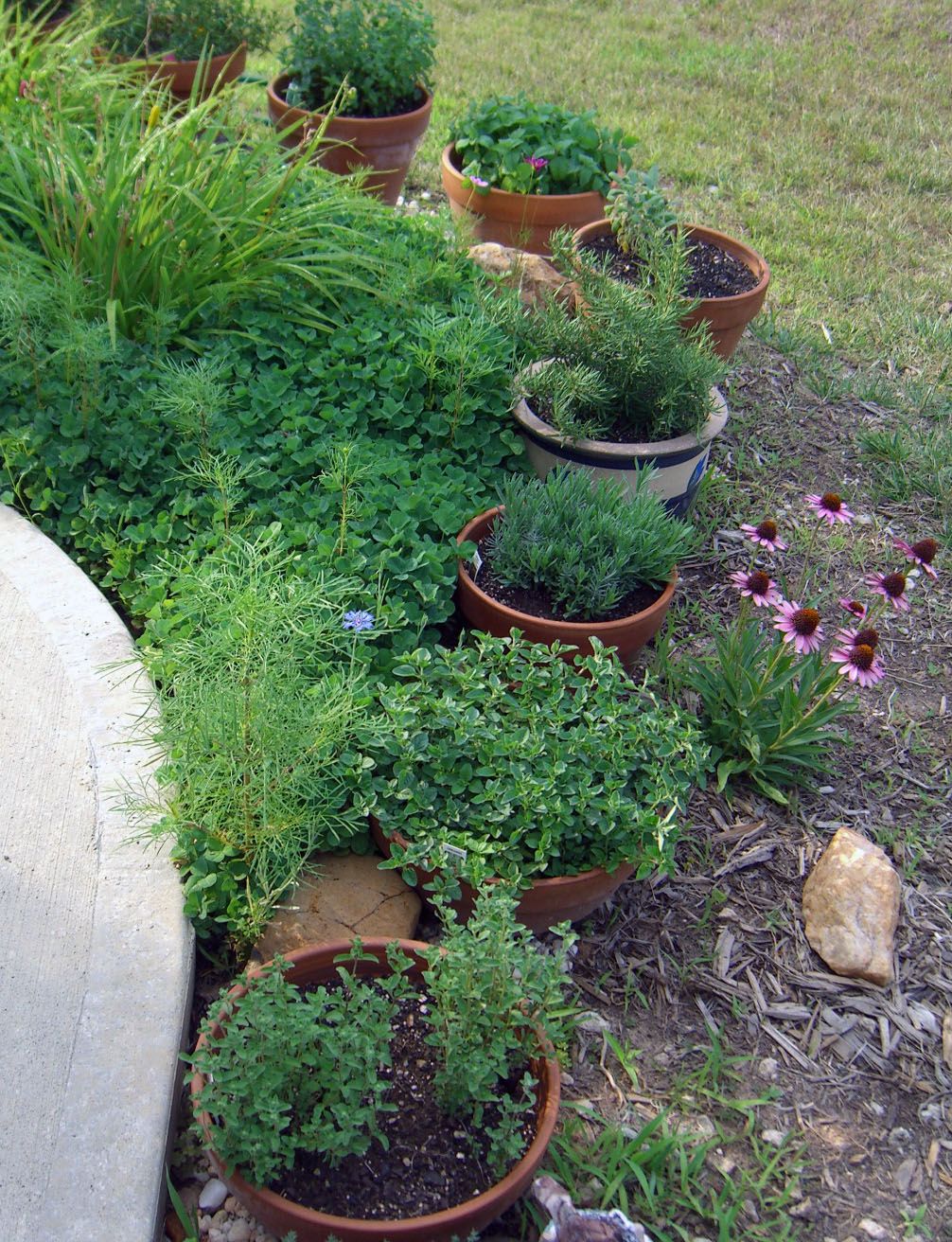 18 Container Herb Garden Design Ideas You Cannot Miss | SharonSable
