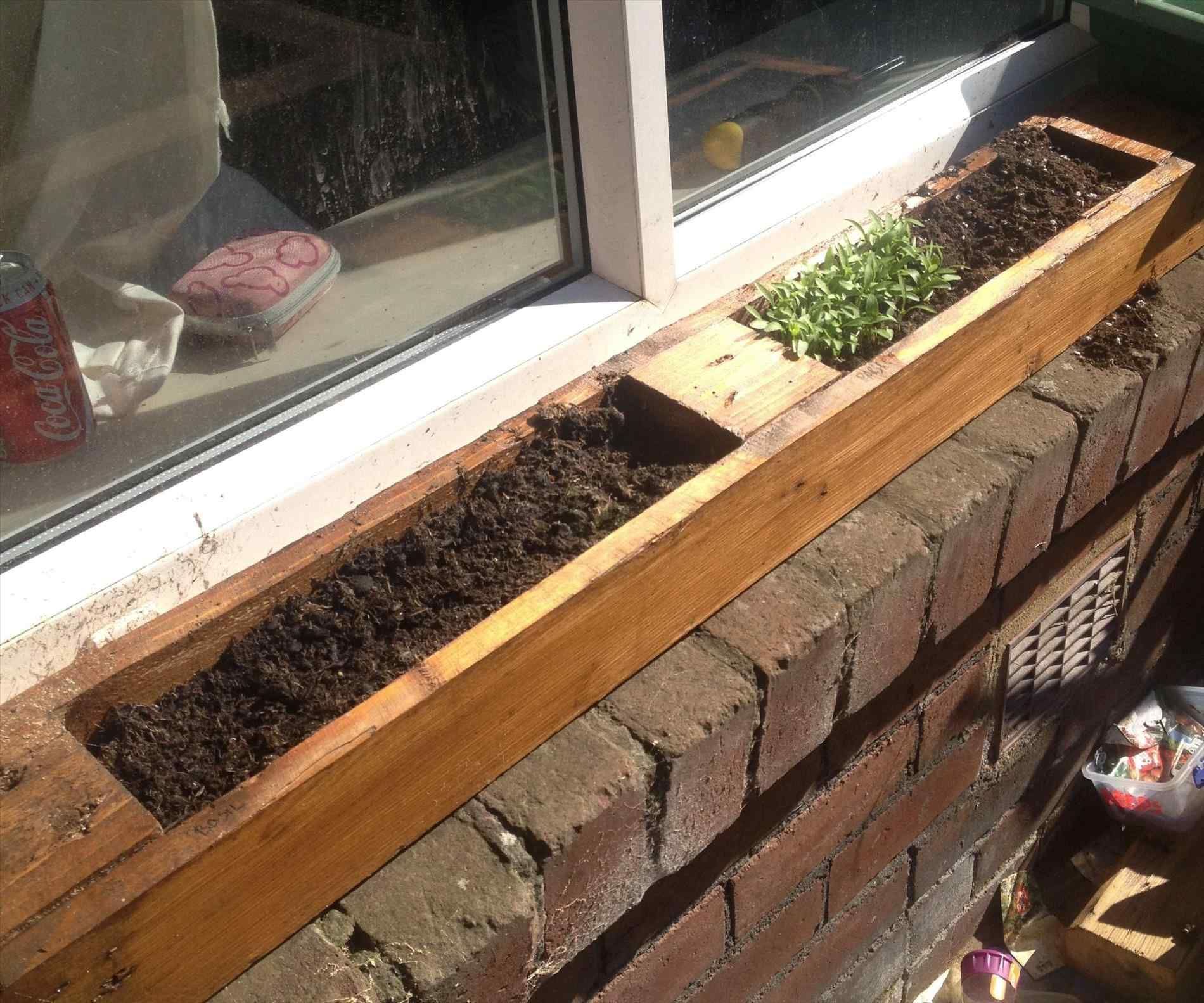 21 WindowSill Gardening Ideas For This Year | SharonSable