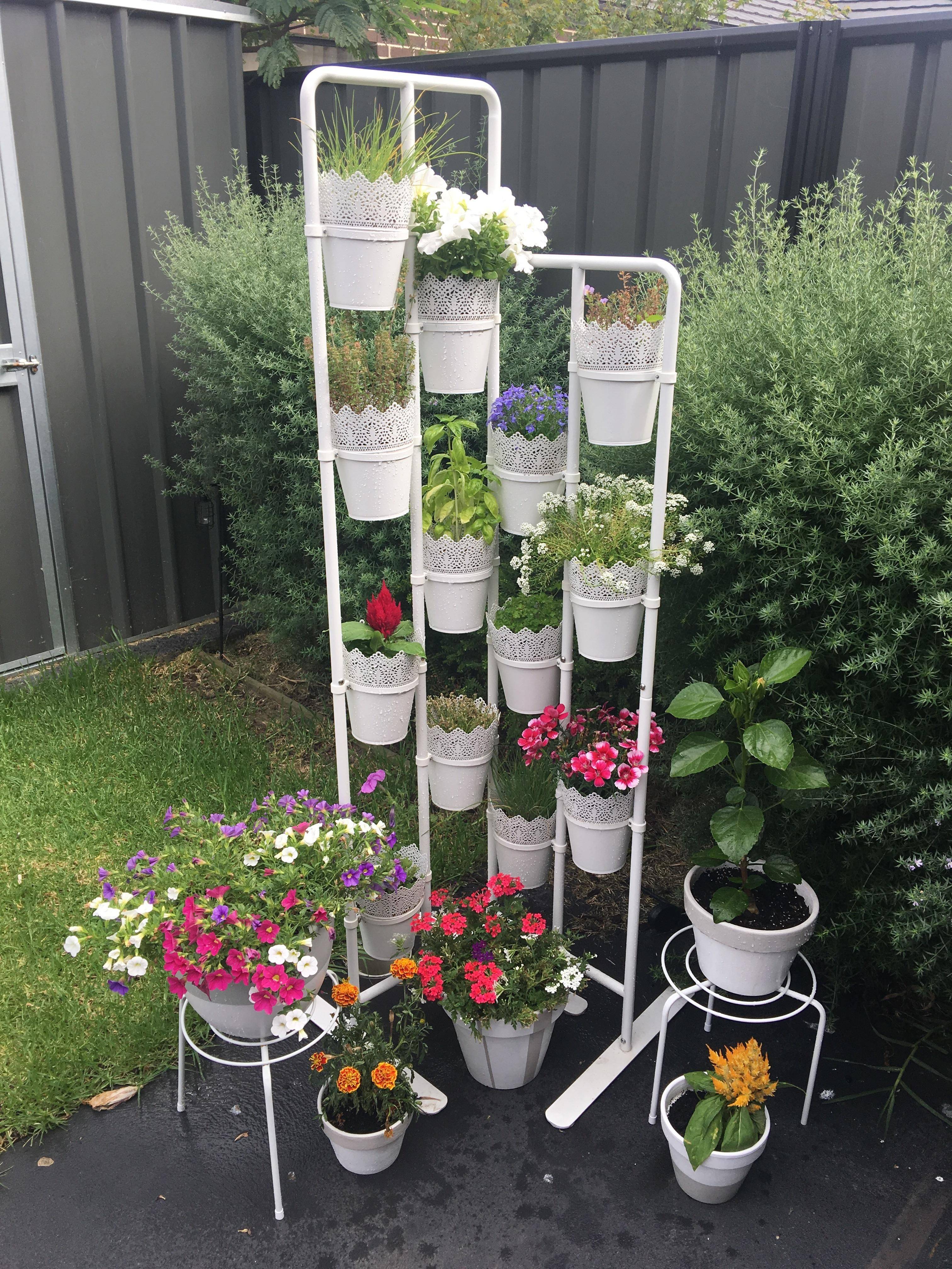 20 Garden Basics for Beginners Ideas You Must Look | SharonSable