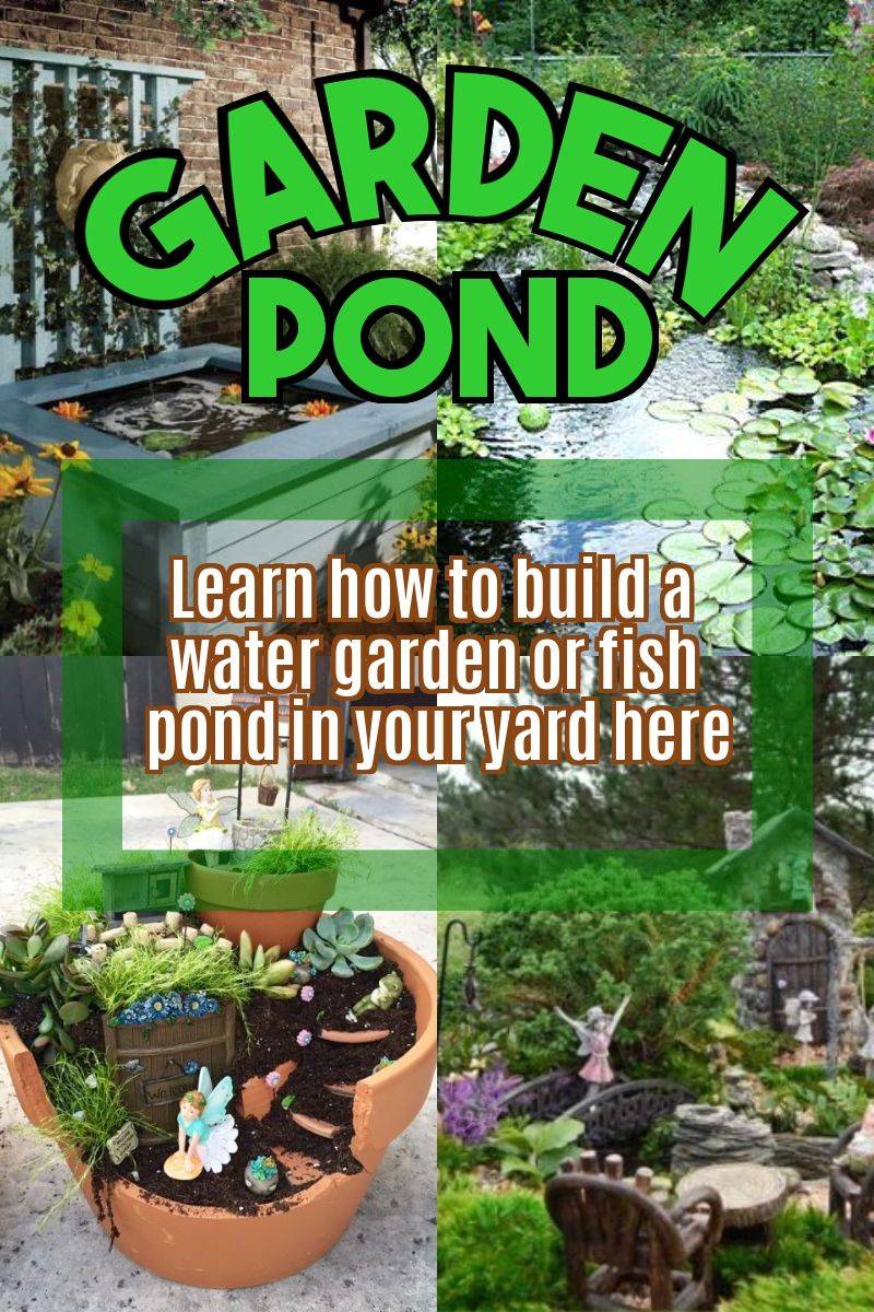 20 Garden Basics for Beginners Ideas You Must Look | SharonSable