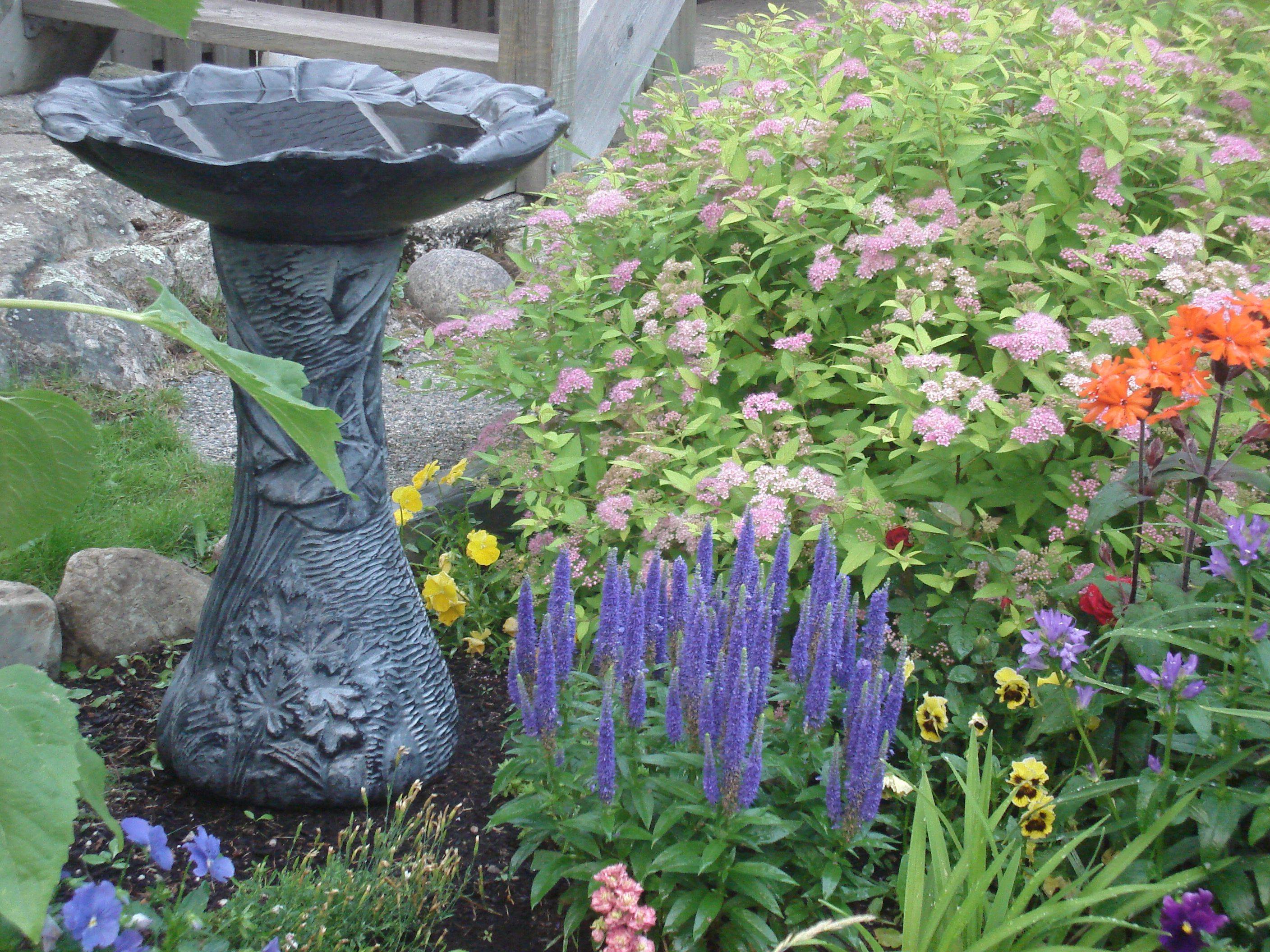 20 Rock Garden with Bird Bath Ideas You Cannot Miss | SharonSable