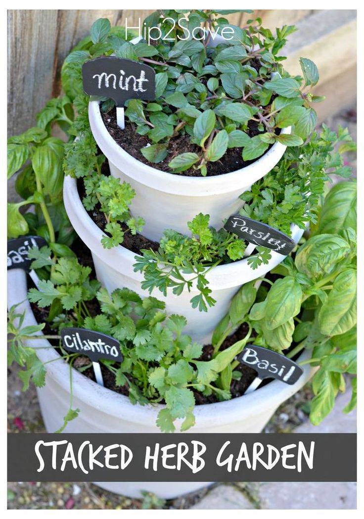 22 DIY Herb Garden Containers Ideas You Should Check | SharonSable