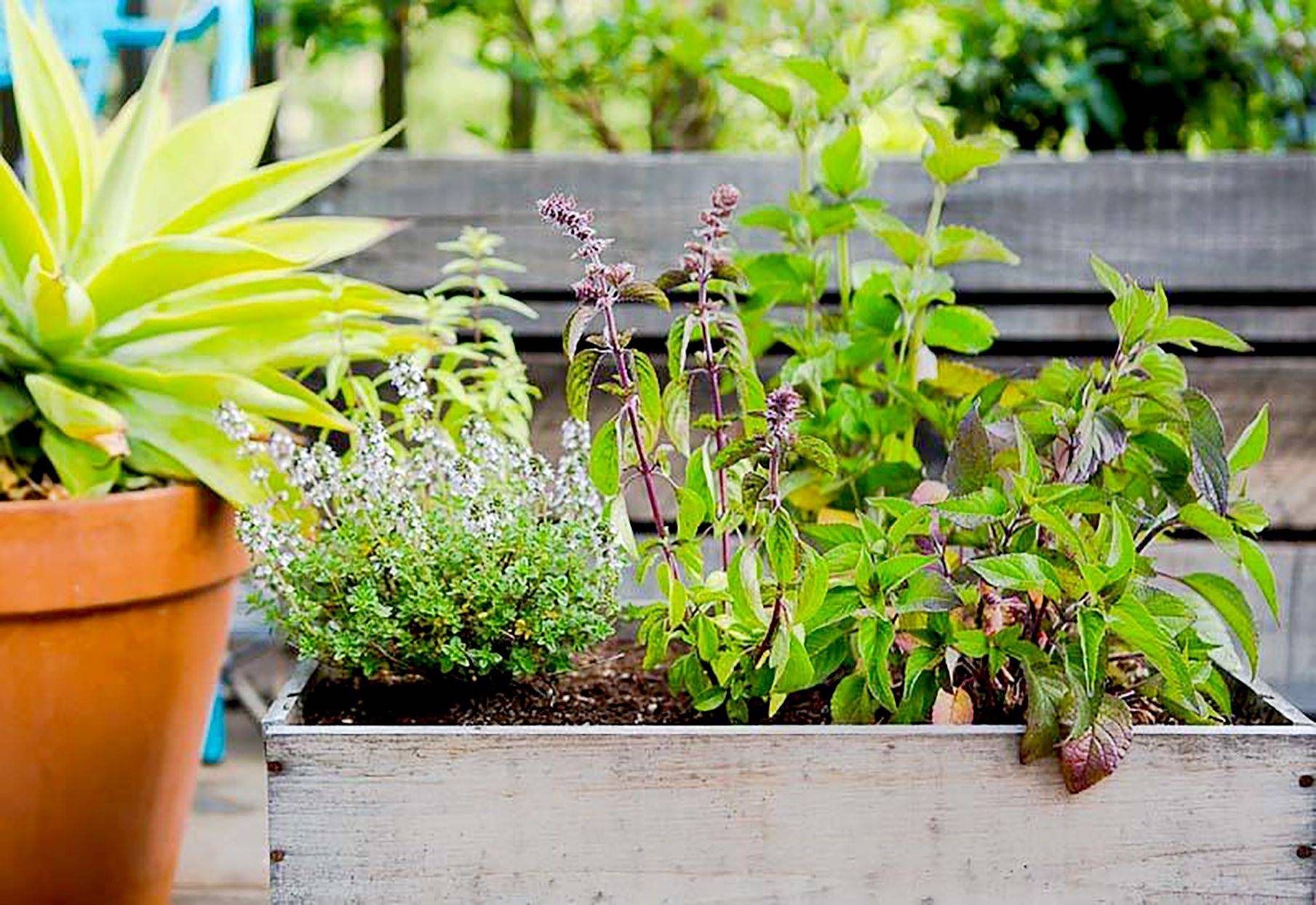 22 DIY Herb Garden Containers Ideas You Should Check | SharonSable