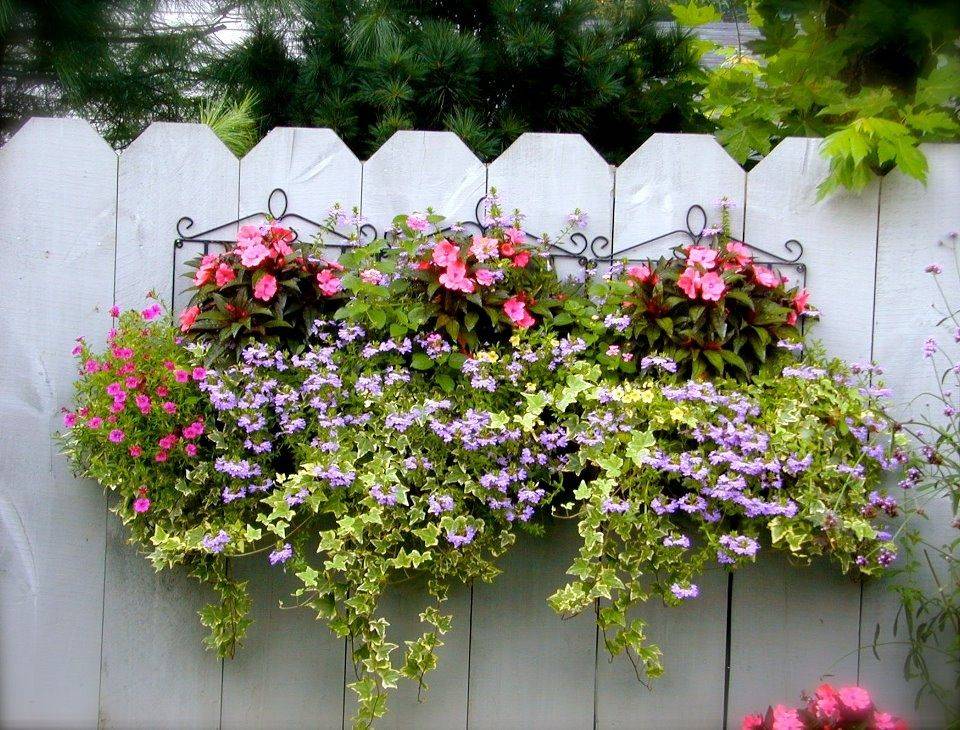 21 Fence Container Garden Ideas You Gonna Love | SharonSable