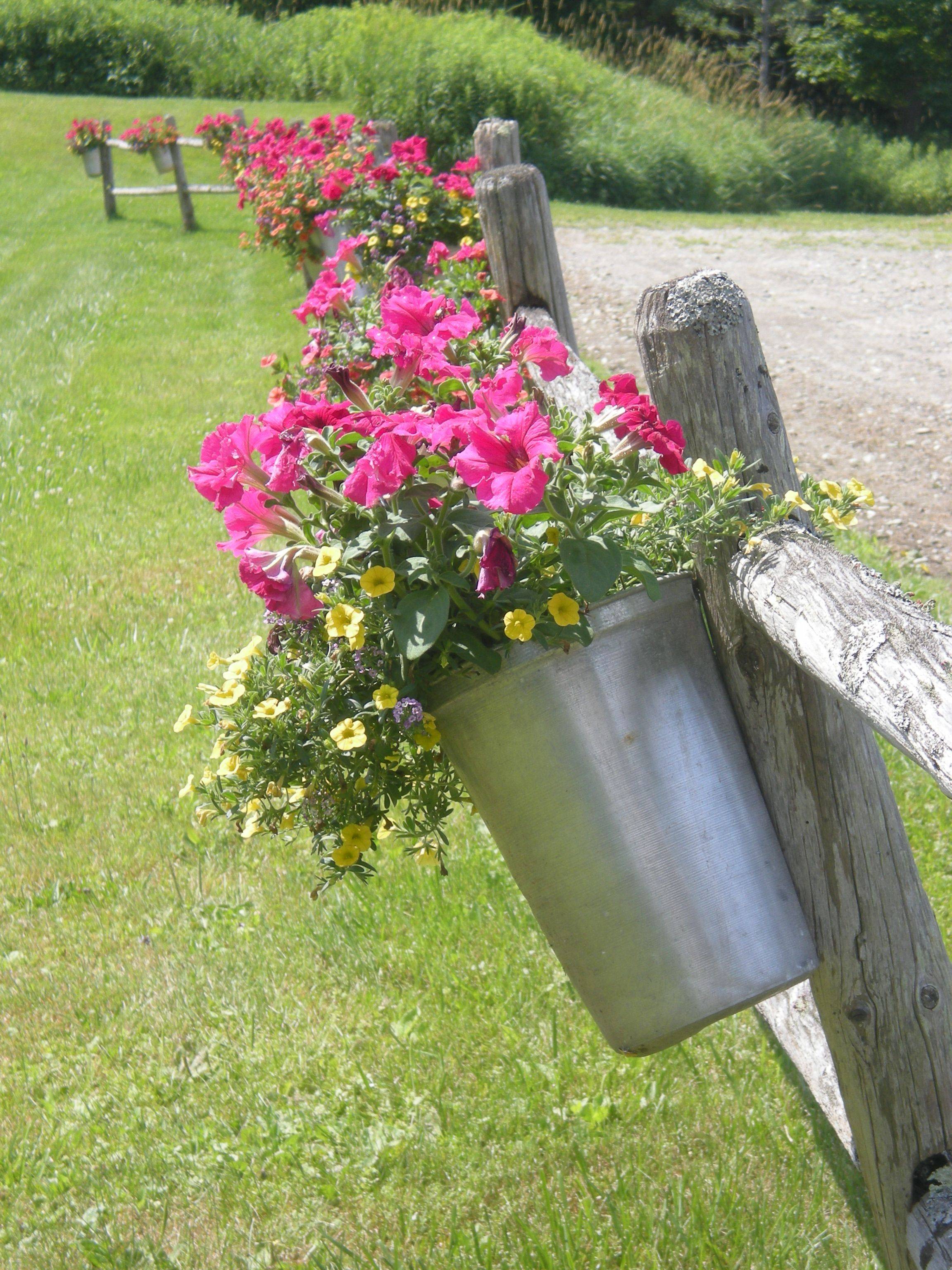 21 Fence Container Garden Ideas You Gonna Love | SharonSable