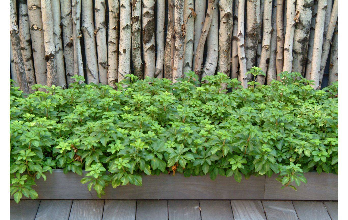 21 Fence Container Garden Ideas You Gonna Love | SharonSable