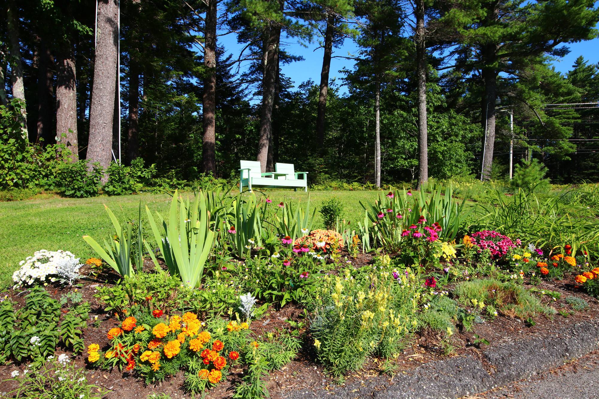 19 Western Garden Ideas You Must Look | SharonSable