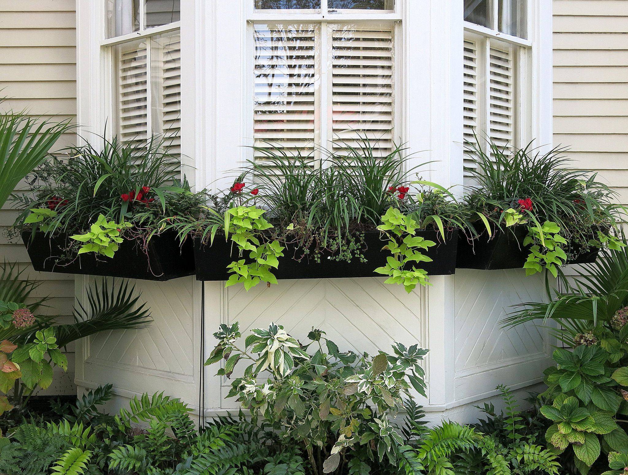 19 Window Box Garden Ideas Worth a Look | SharonSable