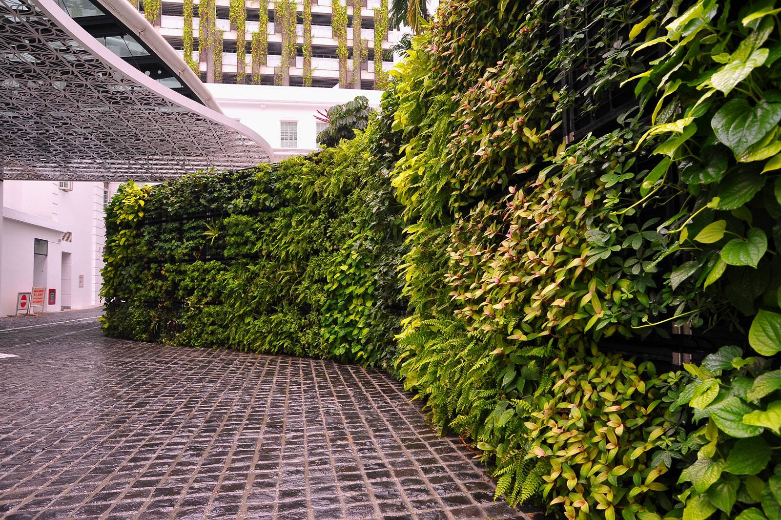 22 Green Wall Garden Ideas You Cannot Miss | SharonSable