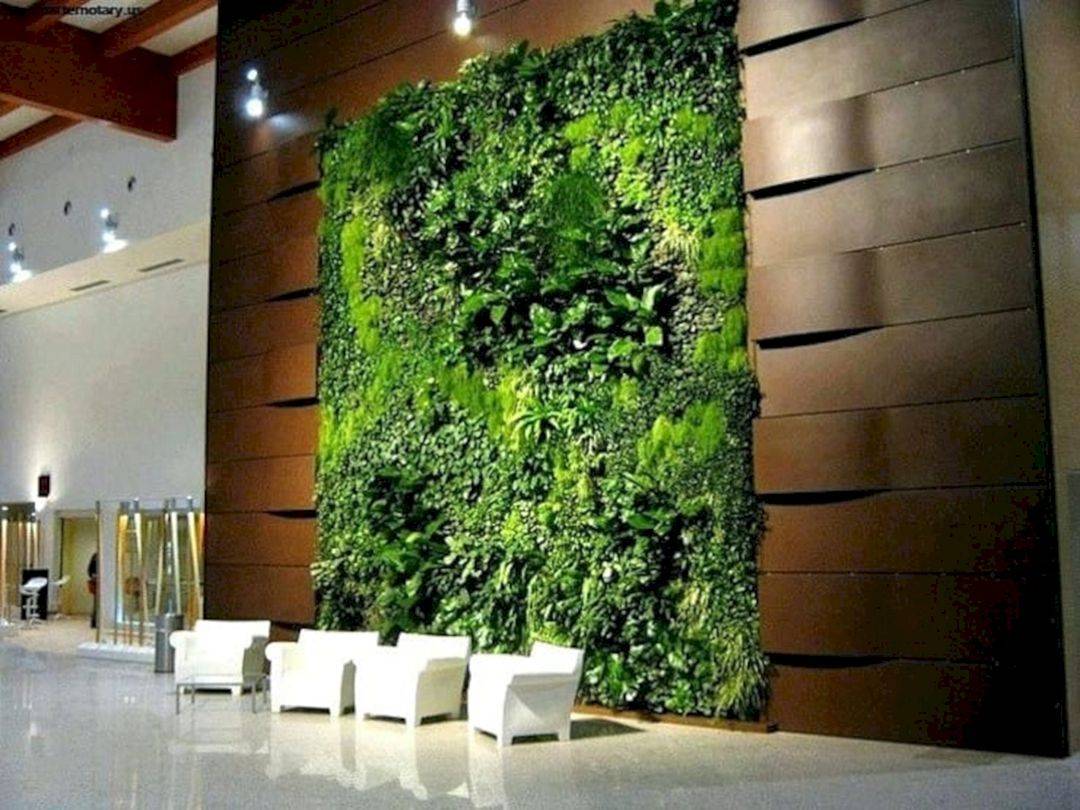 19 Indoor Wall Garden Ideas You Should Look | SharonSable