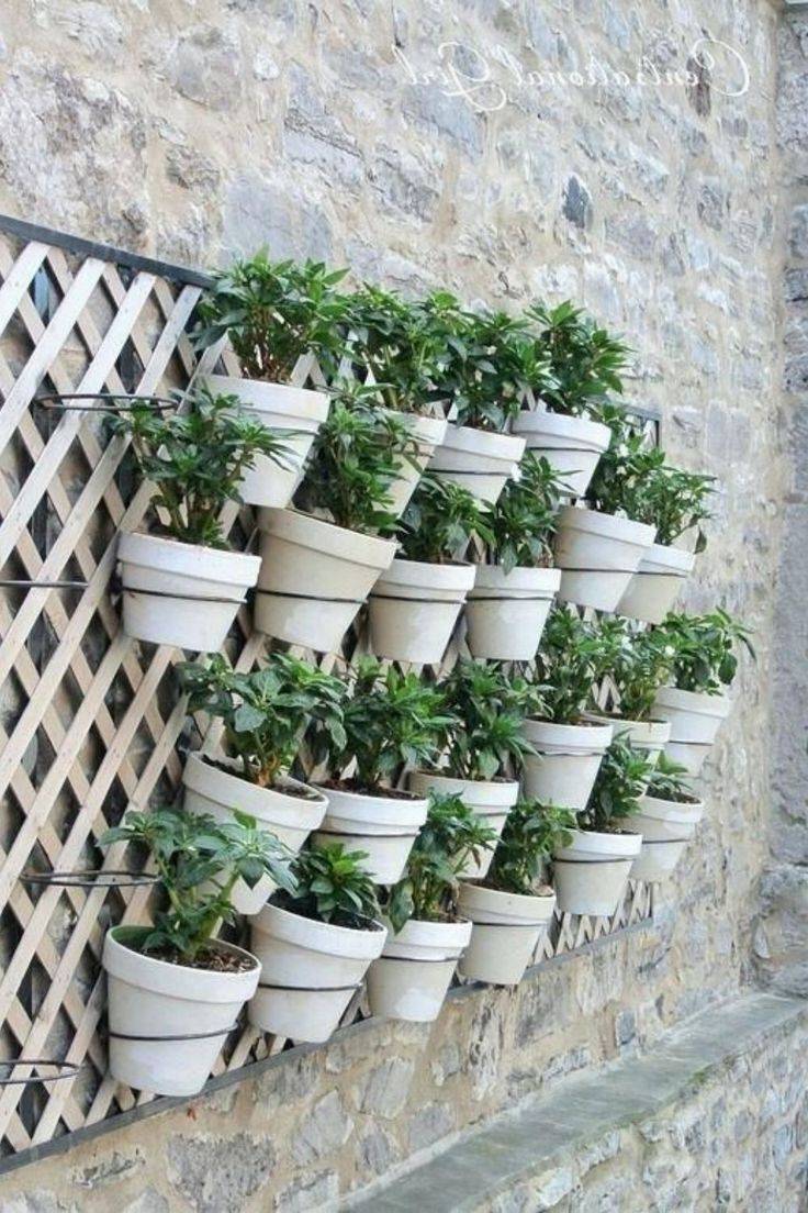 24 Herb Garden Trellis Ideas You Cannot Miss | SharonSable