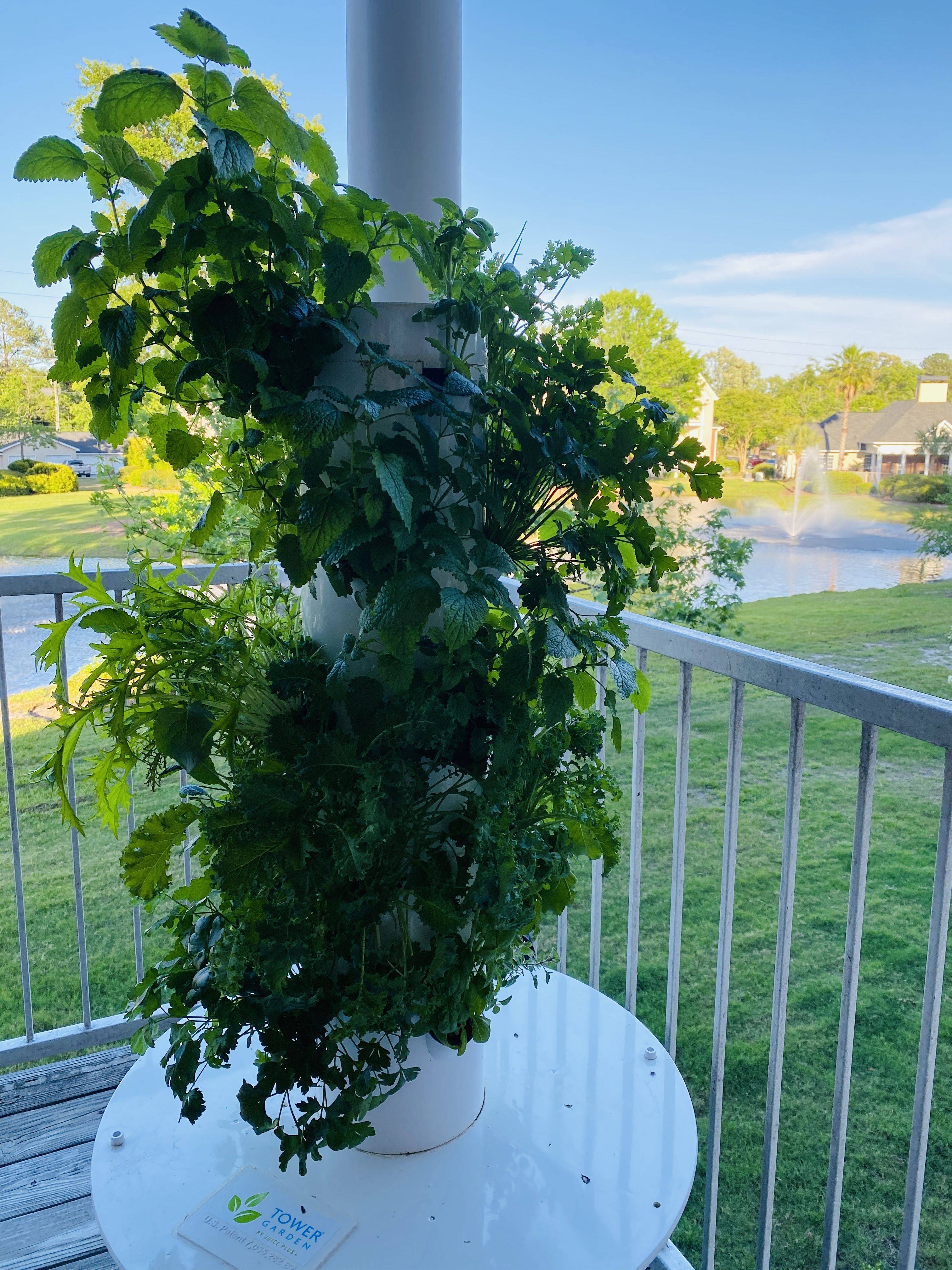 20 Indoor Aeroponic Tower Garden Ideas Worth a Look | SharonSable